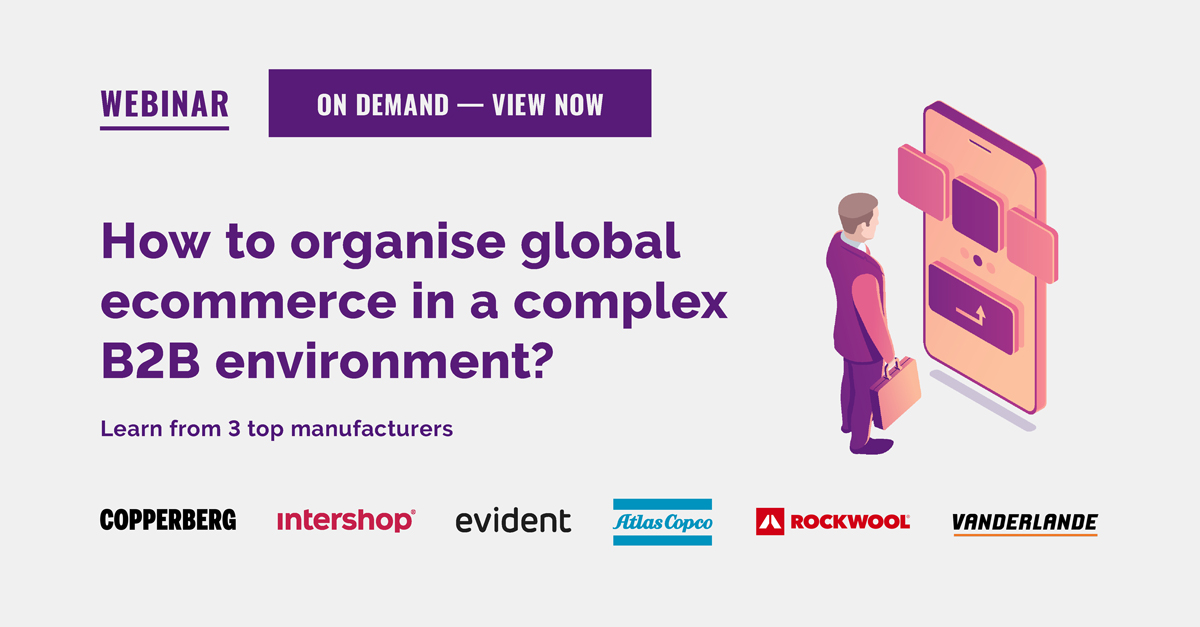 How to Organise Global Ecommerce in a Complex B2B Environment? - Copperberg